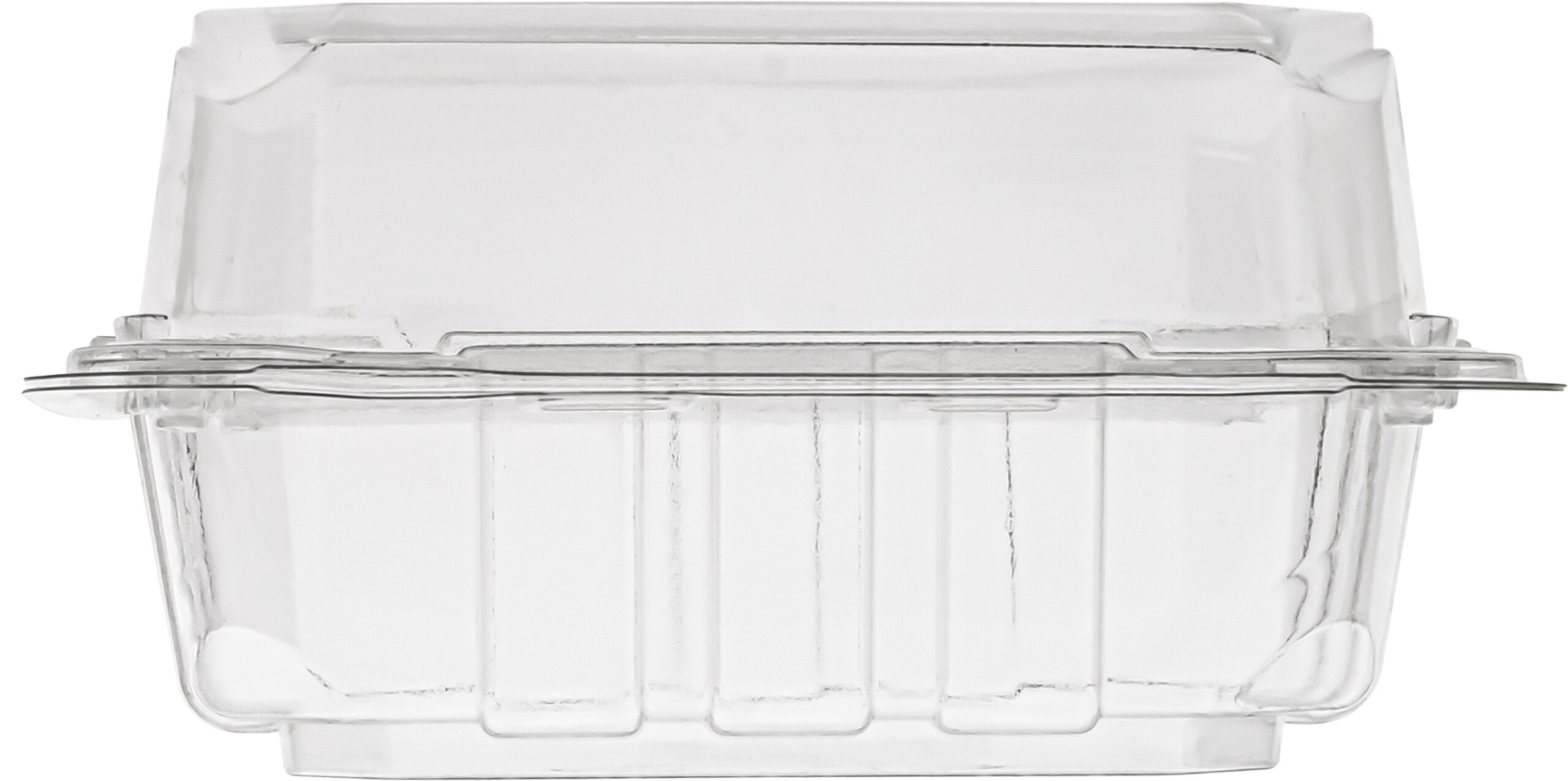 Hinged Enviro TF™ Containers - Planet Earth